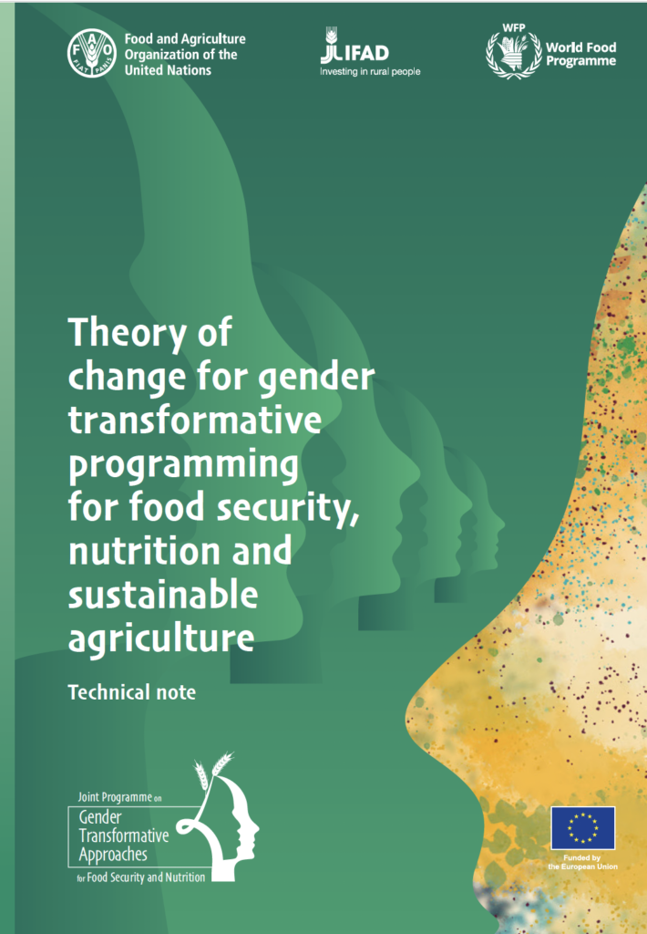 Theory of Change for Gender Transformative Programming for Food ...